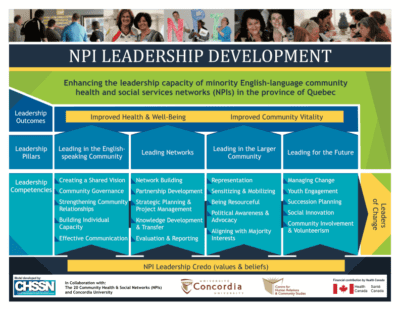 NPI Leadership Development Model